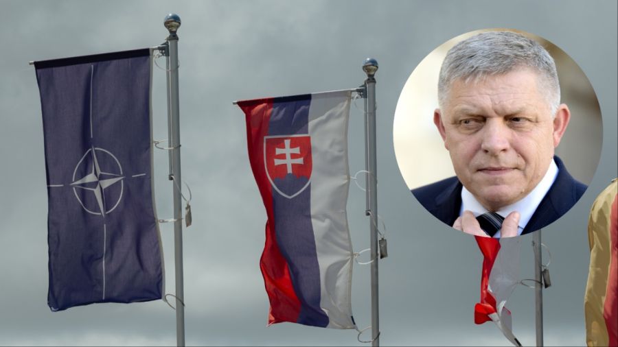 ANALYSIS: Slovakia the main loser at NATO summit after neutrality talks